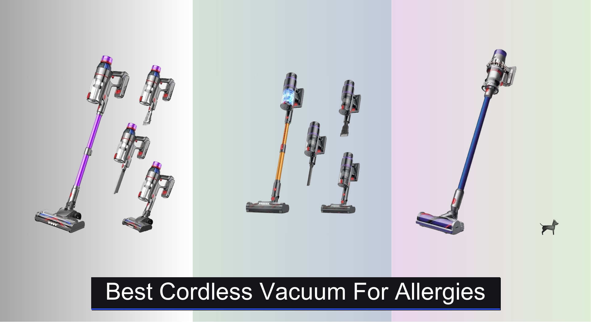 8 Best Cordless Vacuums for Allergies (2025 Guide) - Vacuums.Best