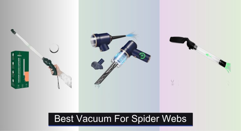 7 Best Vacuums for Spider Webs of 2025 - Vacuums.Best