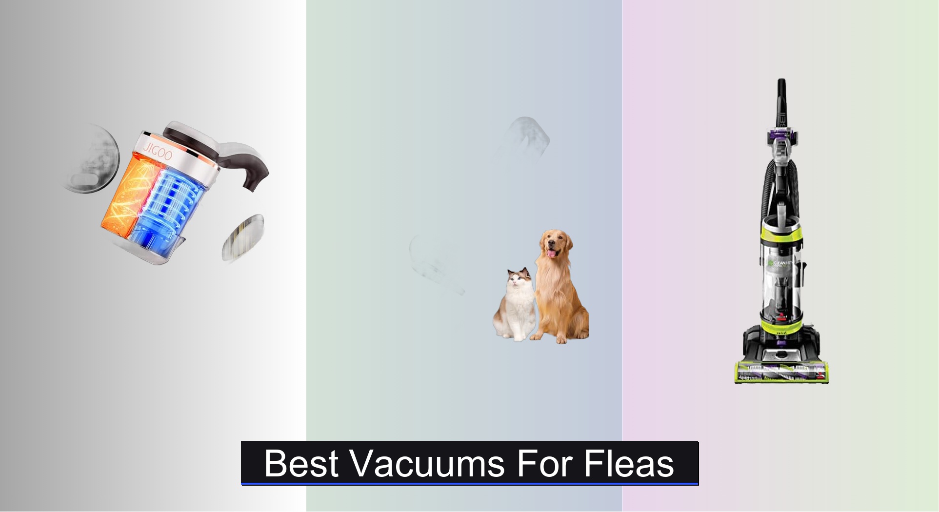 8 Best Vacuums for Fleas (2025 Guide) - Vacuums.Best