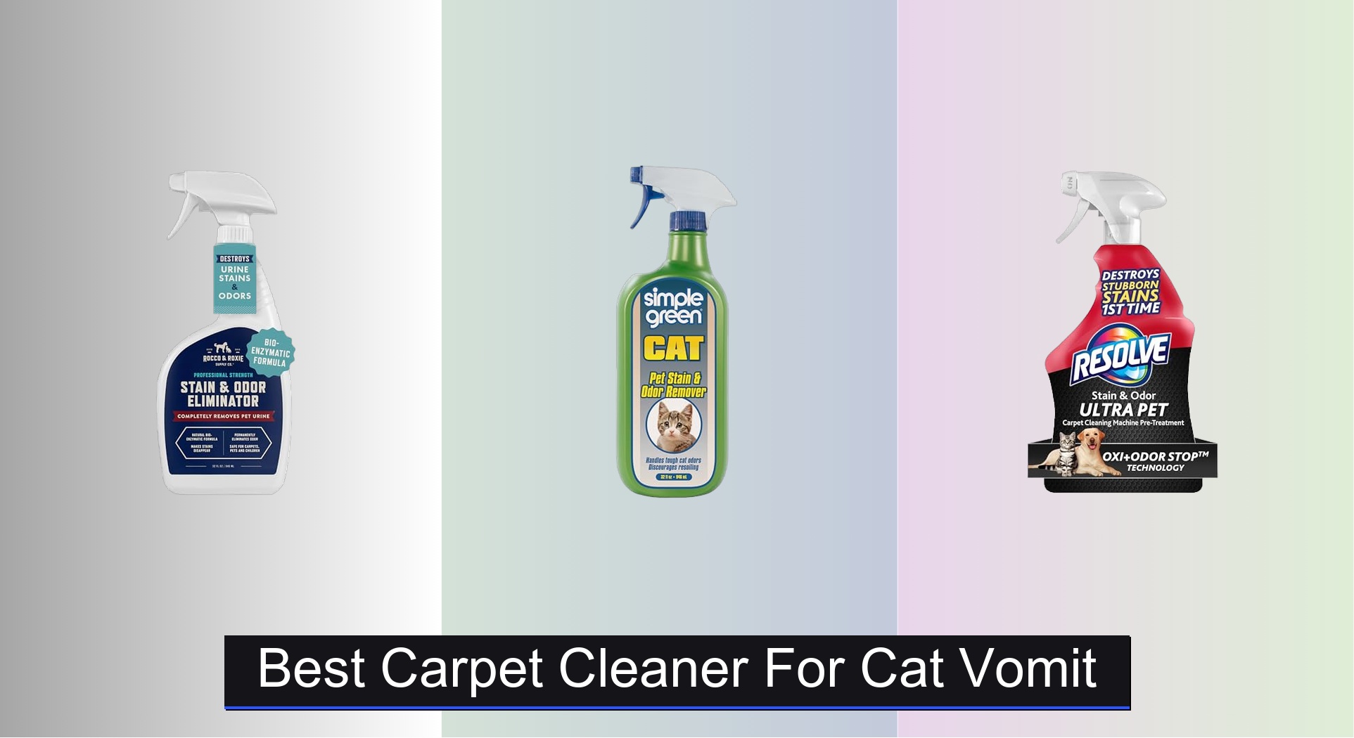 7 Best Carpet Cleaners for Cat Vomit 2025 - Vacuums.Best