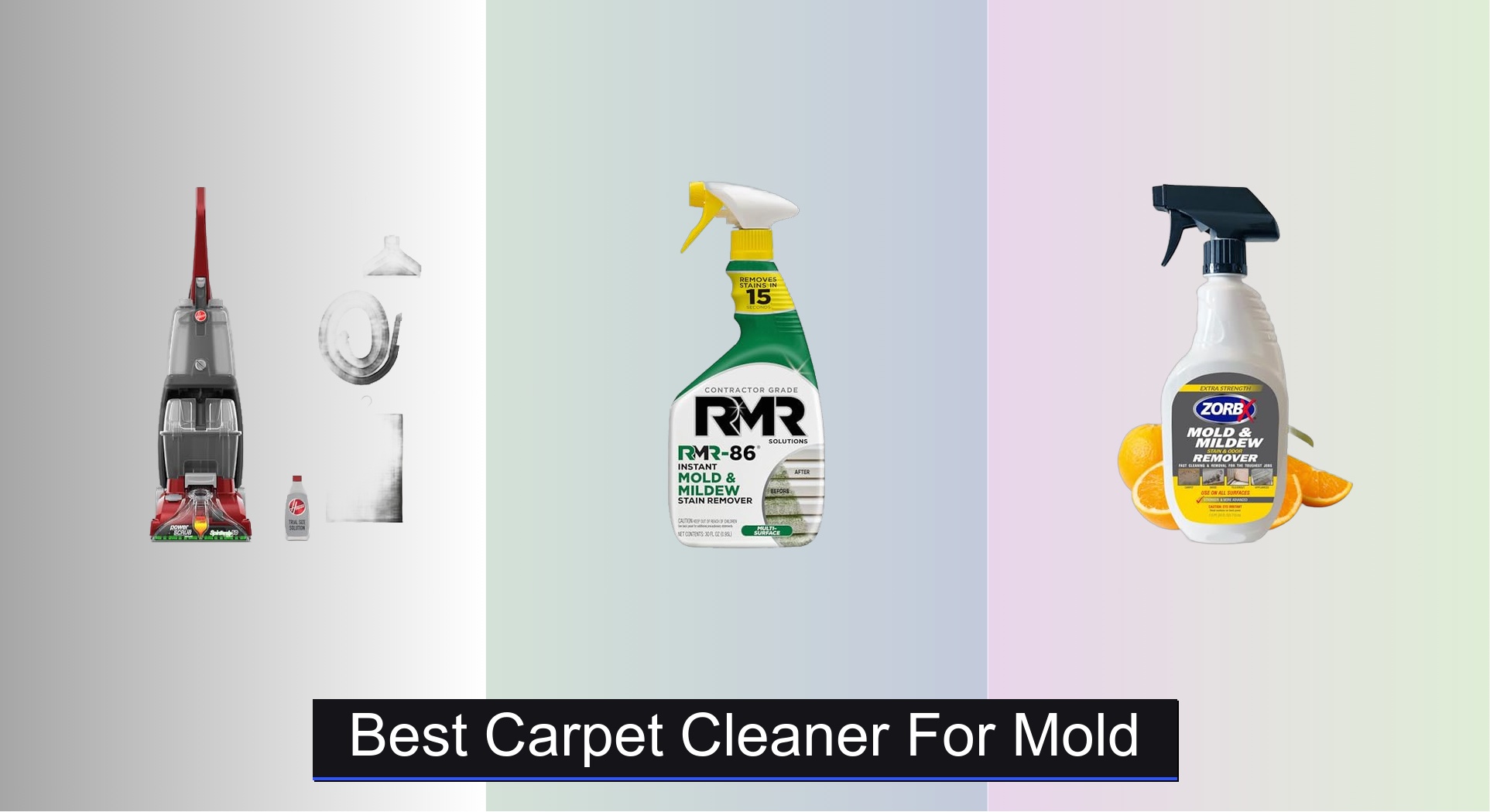 7 Best Carpet Cleaners for Mold (2025 Guide) - Vacuums.Best