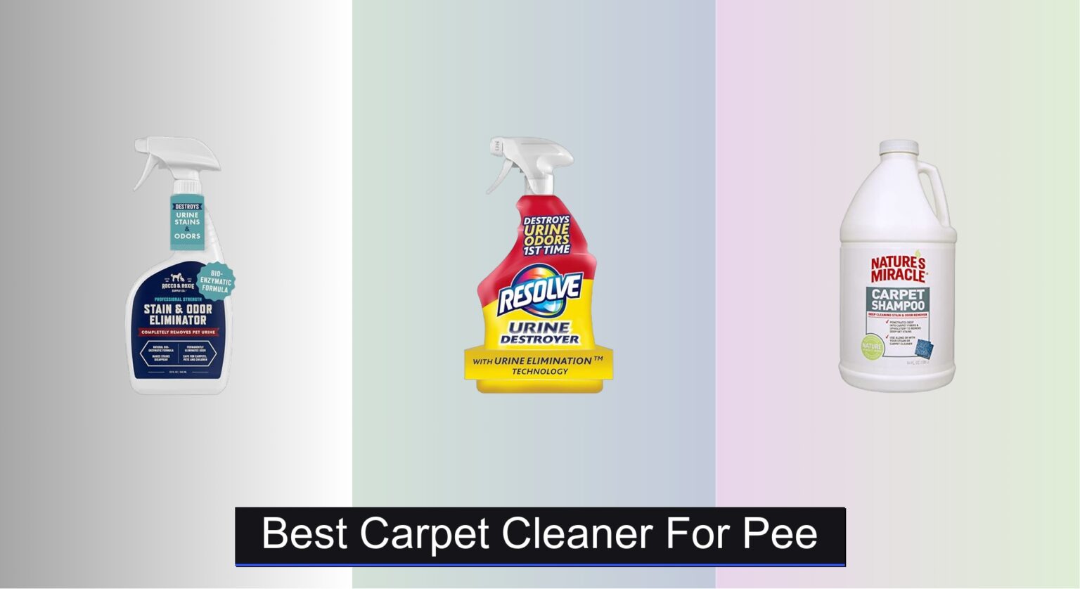 7 Best Carpet Cleaners for Pet Urine 2025 - Vacuums.Best
