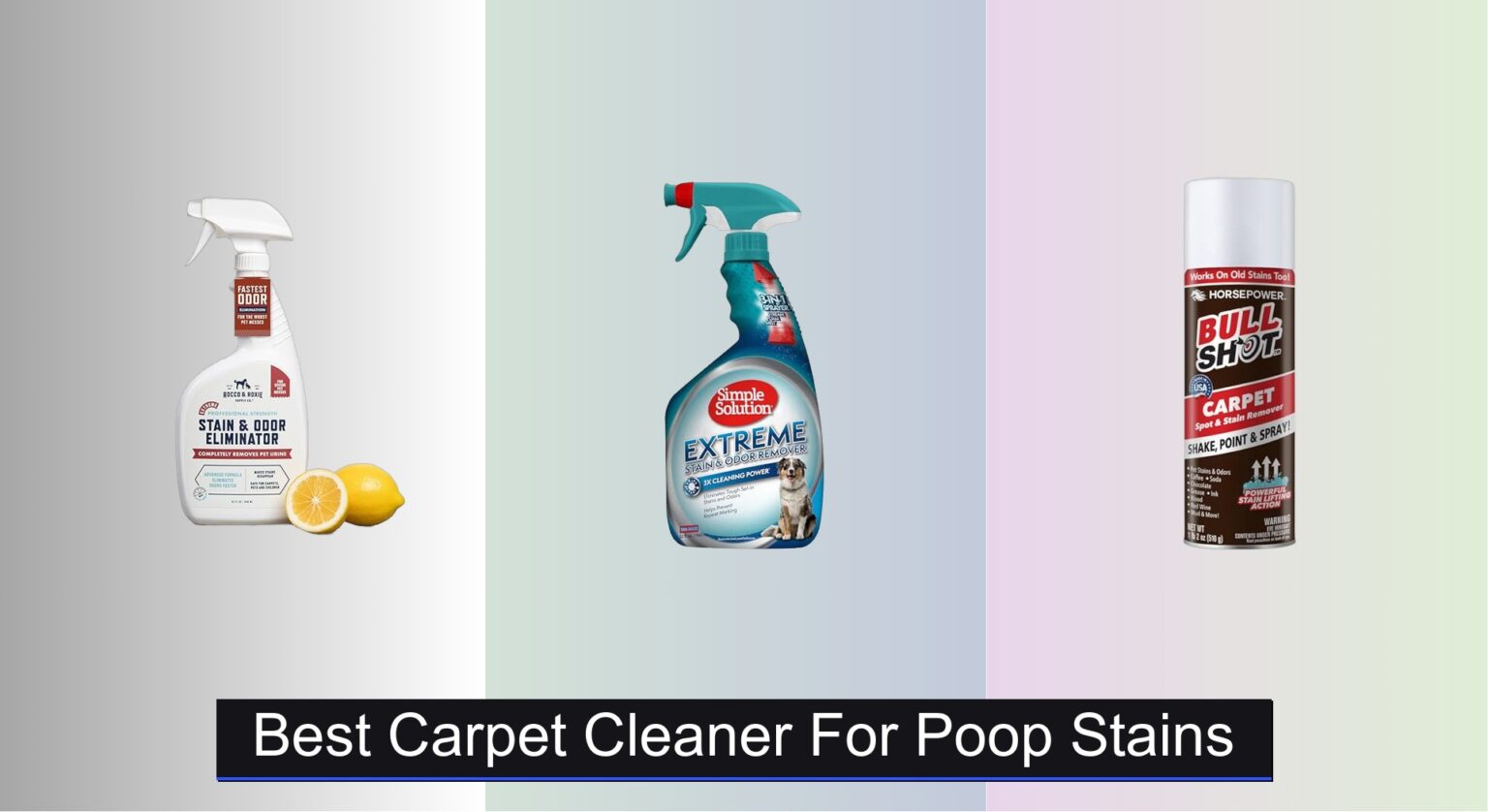 8 Best Carpet Cleaners for Poop Stains 2025 - Vacuums.Best
