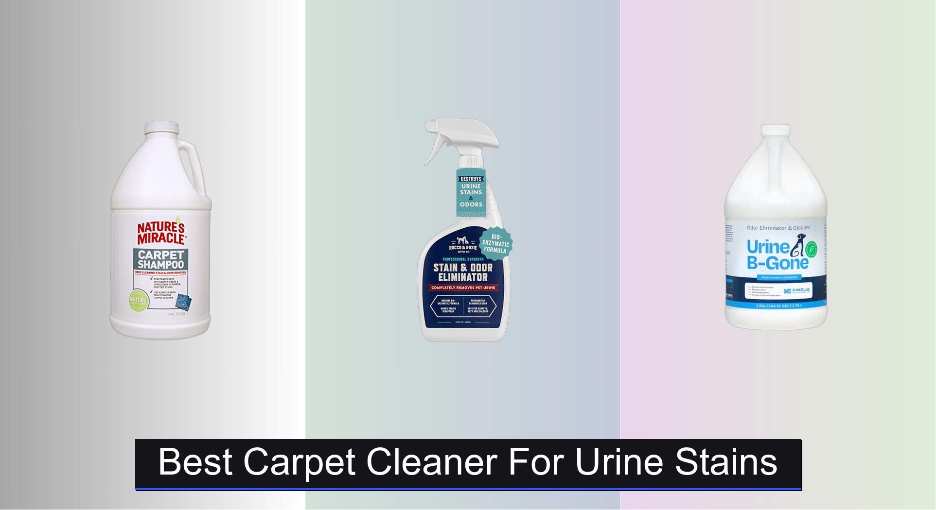 7 Best Carpet Cleaners for Urine Stains 2025 - Vacuums.Best