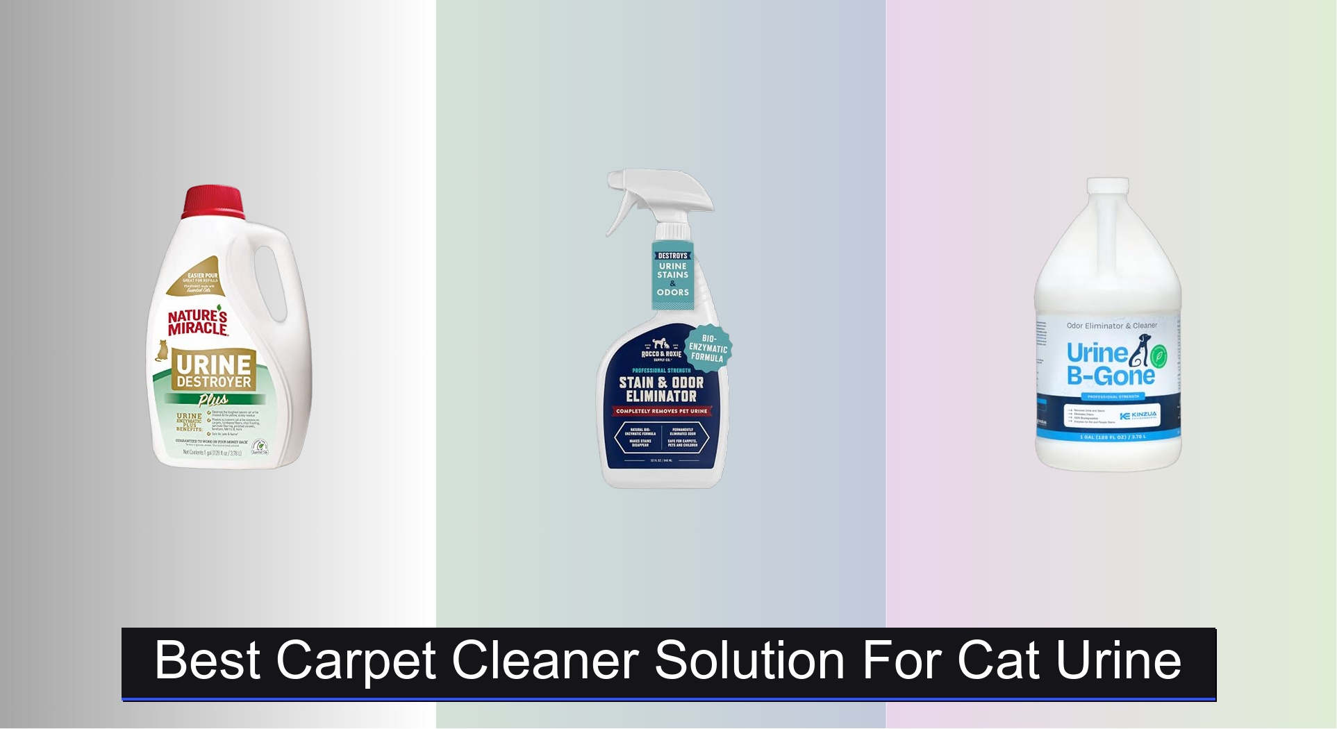 8 Best Carpet Cleaner Solutions for Cat Urine 2025 - Vacuums.Best