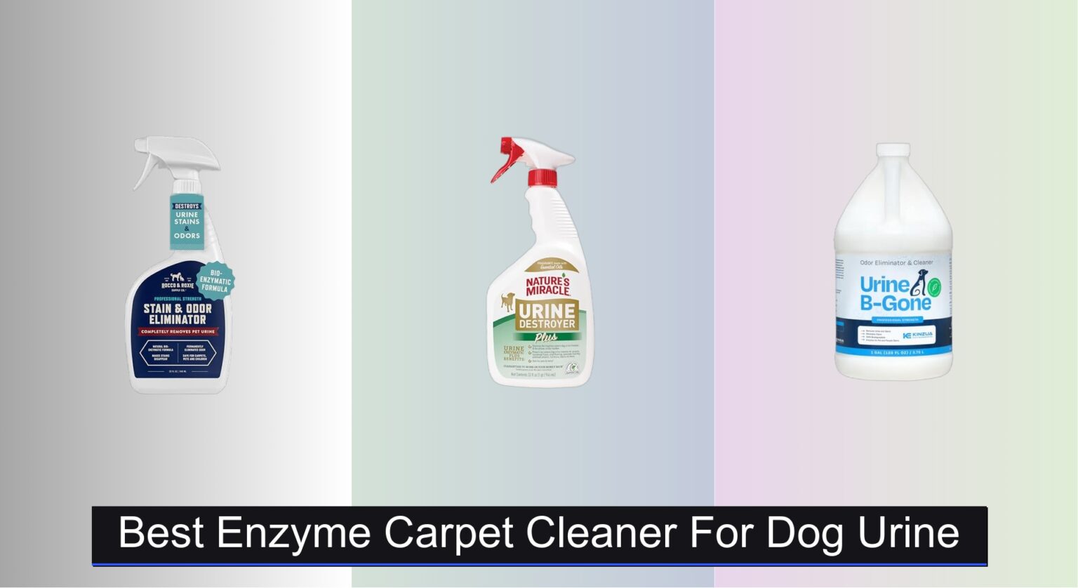 7 Best Enzyme Carpet Cleaners for Dog Urine 2025 - Vacuums.Best
